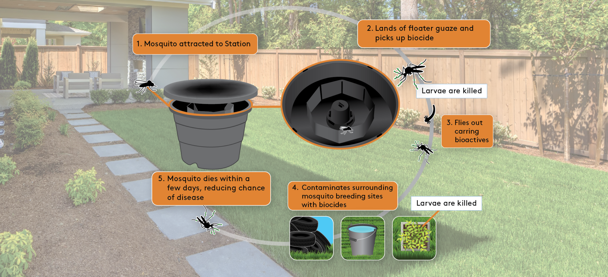 Effective Mosquito Bait Stations - Mosquito Hunters